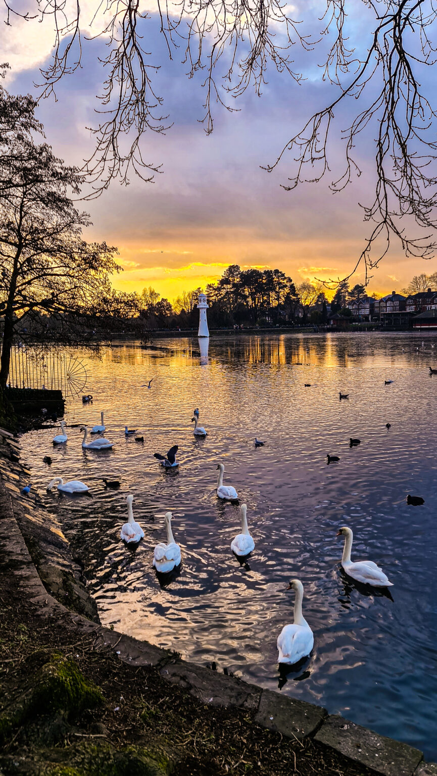 Picture perfect Caerdydd, a park for all seasons. - Graham John